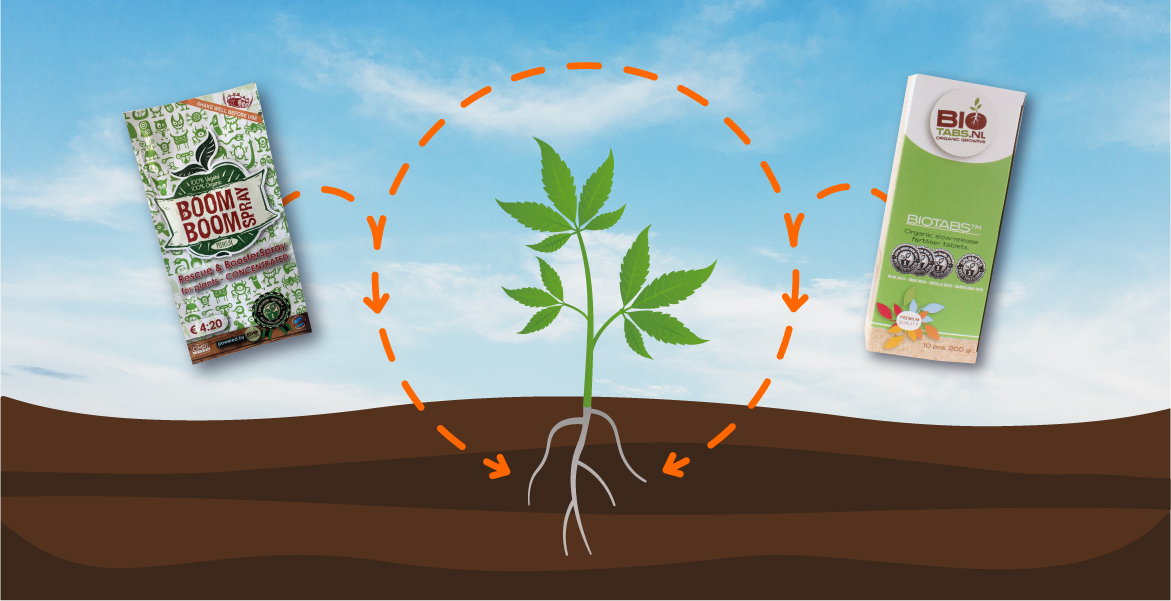 Biologische Voeding Voor Cannabis Growers - Amsterdam Genetics